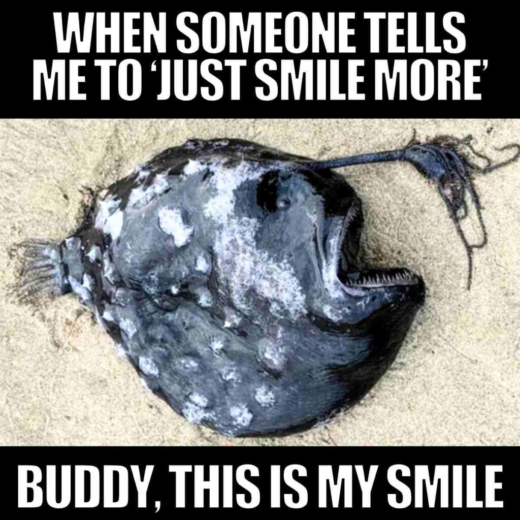 5 Deep Sea Black Devil Anglerfish Memes: Funny But Scary!