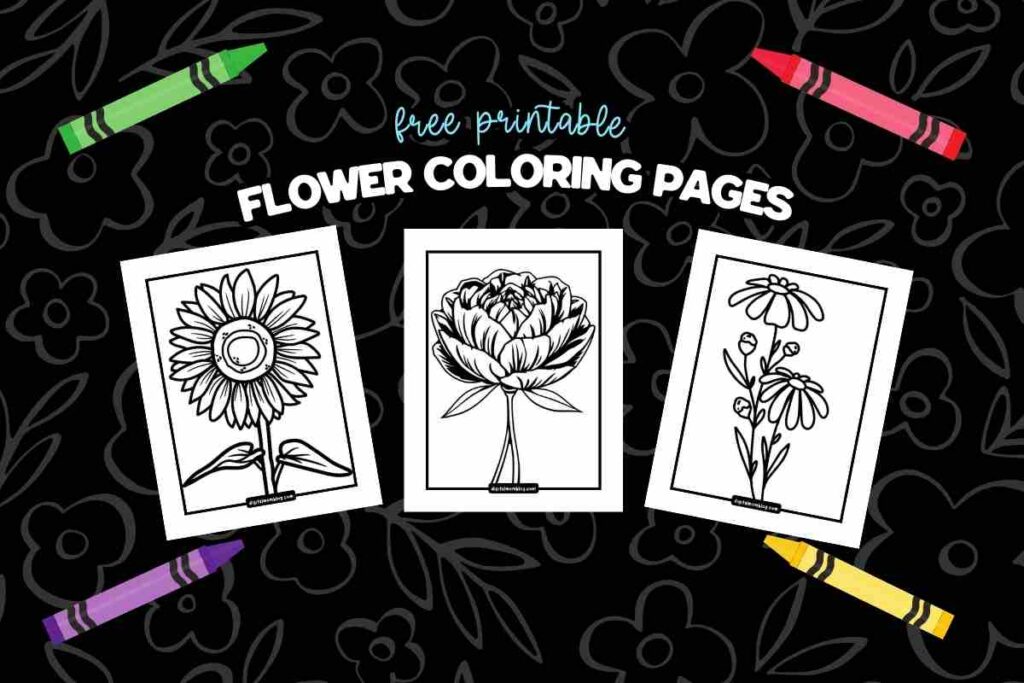 27 Best Flower Coloring Pages For Anyone Who Need A Break